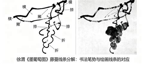 大写意技法核心概念之 骨法用笔 知乎
