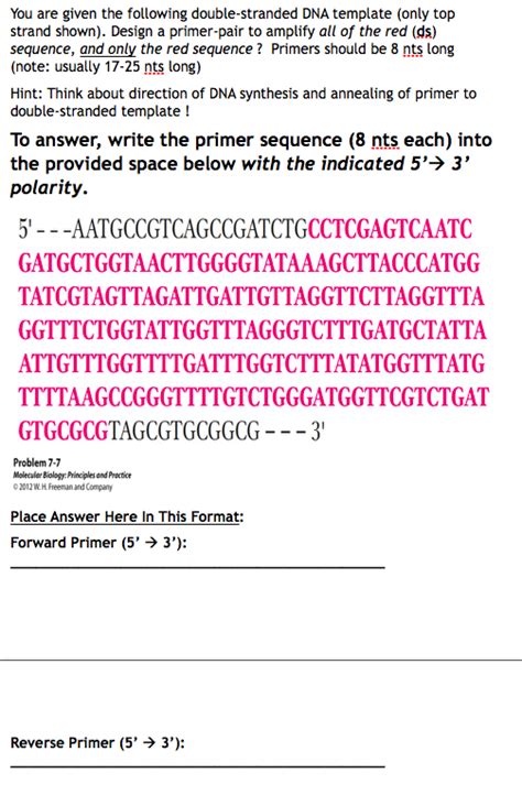 Solved You Are Given The Following Double Stranded Dna