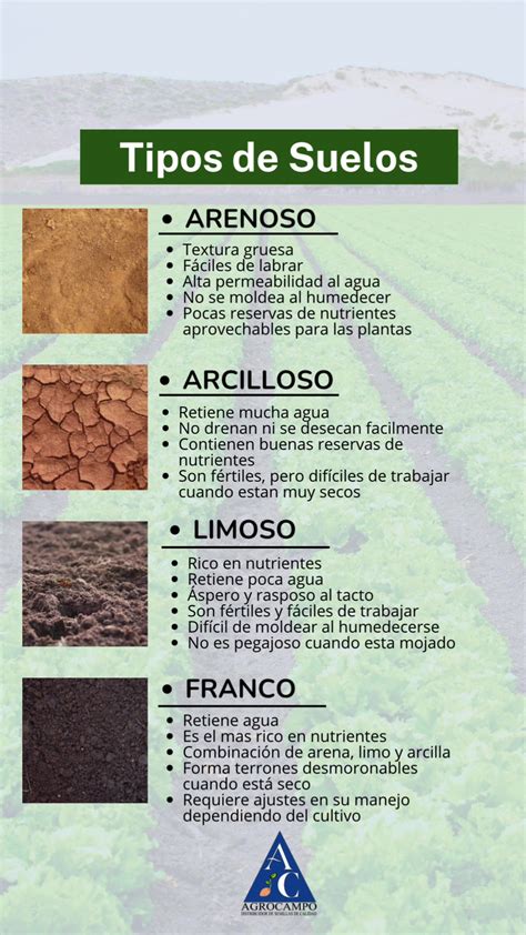 Tipos De Suelos Y Su Importancia En La Agricultura Tiktok
