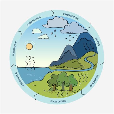 Ciclo Agua Desenho Imagens Download Grátis No Freepik
