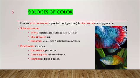 Coloration In Fishes Pdf