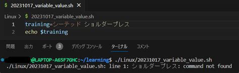 【linux】シェル変数を設定するには？設定方法とその注意点を紹介 テックパンプ
