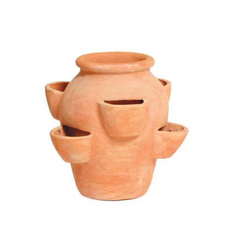 Cupped Herb Planter G Grace And Son