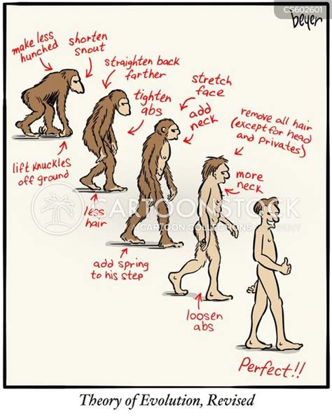 Human Evolution Cartoon History Of Human Evolution Cartoons And Comics