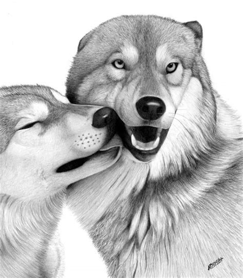 Animal Drawings Realistic At Explore Collection Of