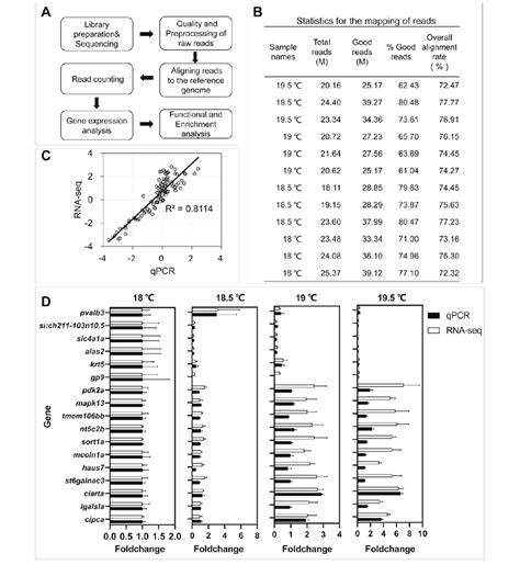 Steps In Rna Seq Data Analysis At Lon Taylor Blog