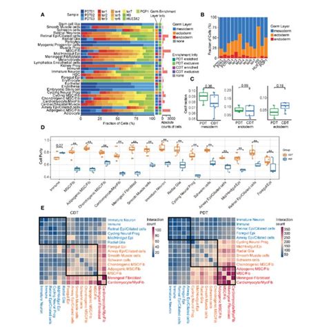 Overall Comparison Of Pdt And Cdt In All Single Cell Clusters A