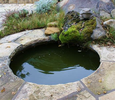 Small Reflecting Pool Design Ideas