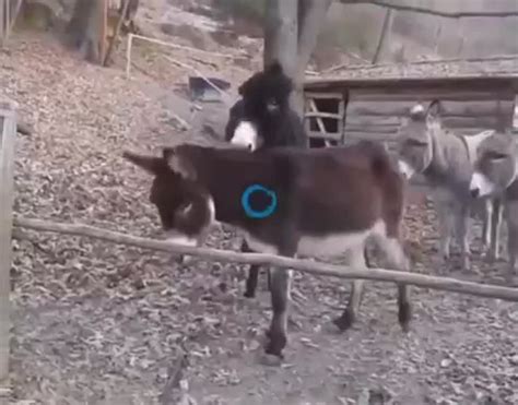 Mifta Mohammed Posted On Linkedin