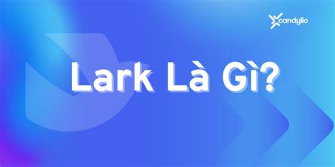 Lark Là Gì Vì Sao Nên Sử Dụng Lark