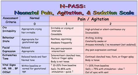 Neonatal Pain Guideline
