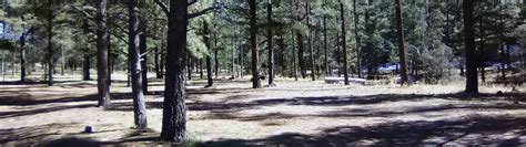 El Caso Campgrounds Quemado Nm Boondockers Bible
