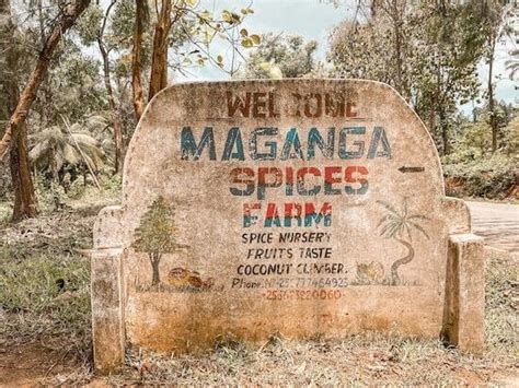 Zanzibar Spice Farm Tour Everything You Need To Know Wandering Linda