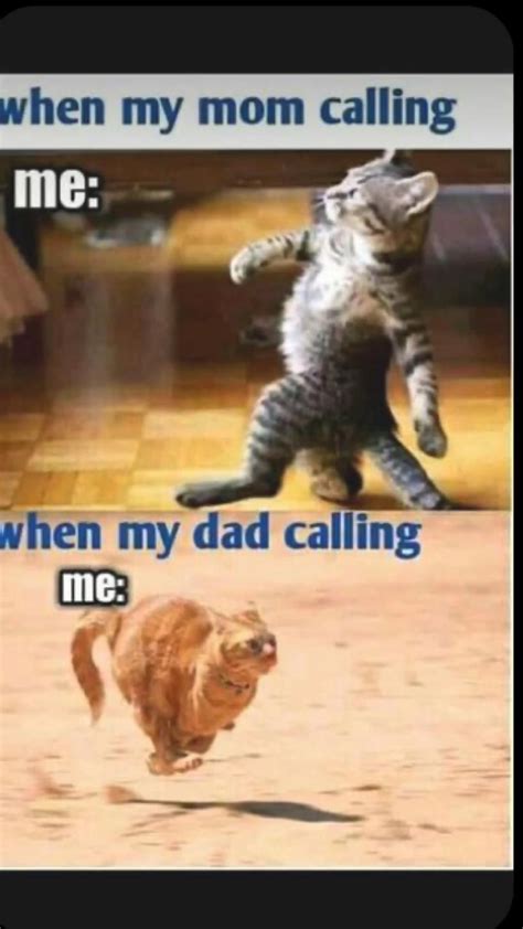 Funny Artofit