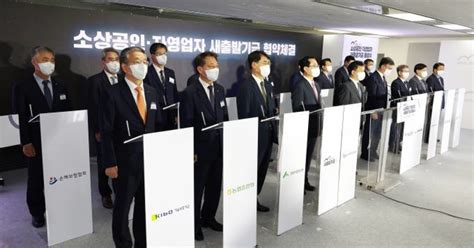 대부업 빚 제외 절망적알맹이 빠진 자영업자 채무조정