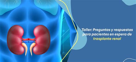 Todo Lo Que Debe Saber Del Trasplante Renal I Shaio