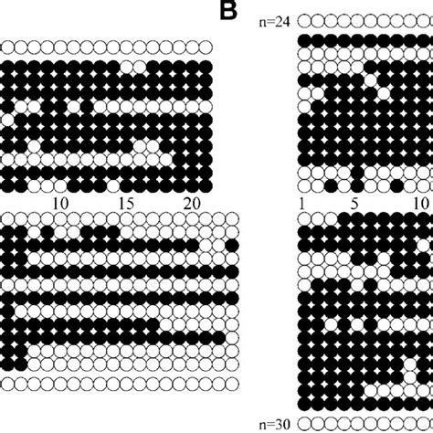 Methylation Profiles Of Dnmt1 On Uniformly Hemimethylated Dna Cg Hm