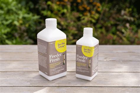 Feeder Fresh Bird Food Hygiene