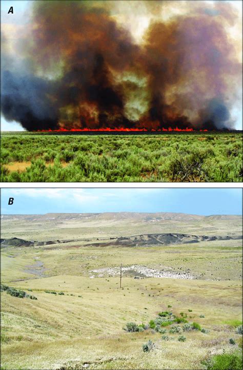 Examples From Southwestern Idaho Of Ecological Conversion Via The