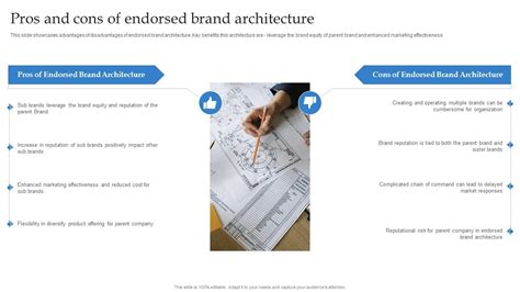 Formulating Strategy With Multiple Product Lines Pros And Cons Of Endorsed Brand Architecture
