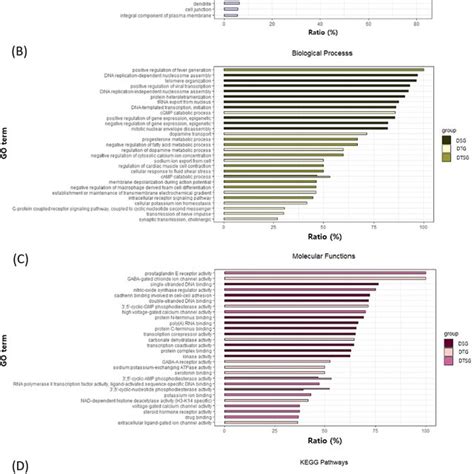 Cellular Component Analysis Of The Core Genes From Each Gene Set