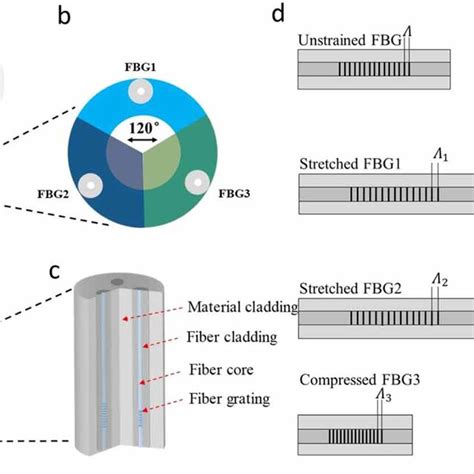 A And C Schematic Diagram Of The Perceptron Structure Design