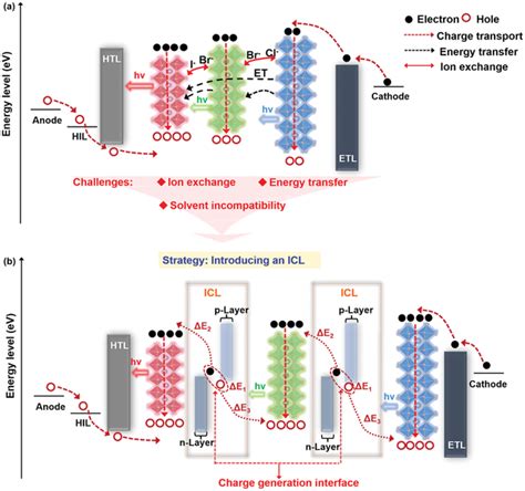 A The Schematic Diagram Of Carrier Transport And Distribution Energy Download Scientific