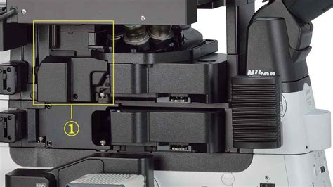 ECLIPSE Ti Series Inverted Microscopes Nikon Instruments Products Nikon Instruments Inc
