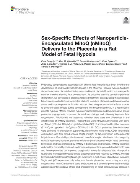 Pdf Sex Specific Effects Of Nanoparticle Encapsulated Mitoq Nmitoq