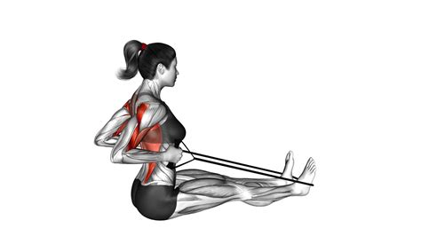 Female Band Seated Row Effective Exercise Guide And Tips