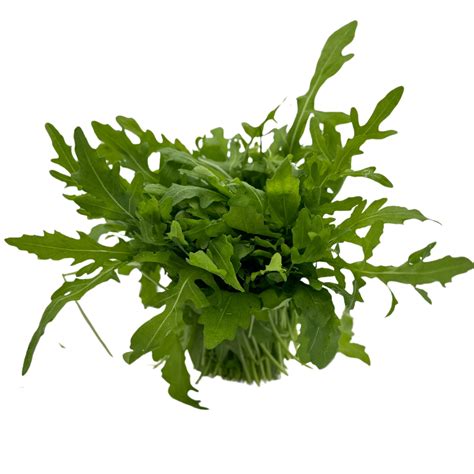 Rucola 125g 158301