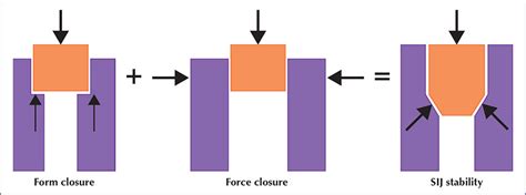 Form And Force Closure In The Bony Pelvis Human Kinetics