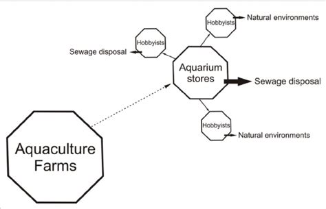 Stratified Scatter Plot Showing The Possible Path Of The Aquatic