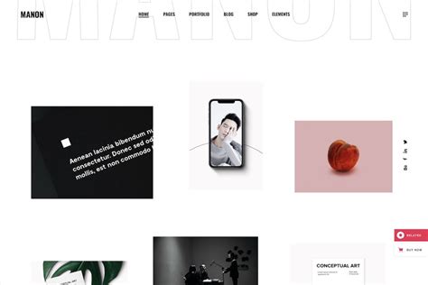 Best Minimalist WordPress Themes ThemeMasterly