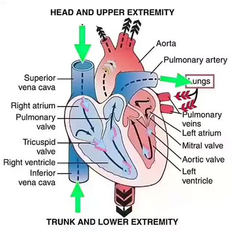 Video Mavin Reyes Rn Cssyb Posted On Linkedin