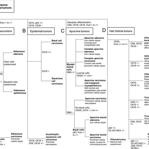 An Immunohistochemical Ihc Algorithm To Facilitate Diagnosis Of