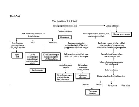 Pathway Hepatitis