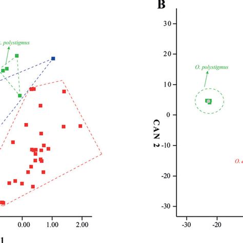 plots from the principal component analysis and canonical discriminant