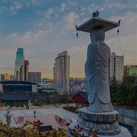 هلدینگ نیکان