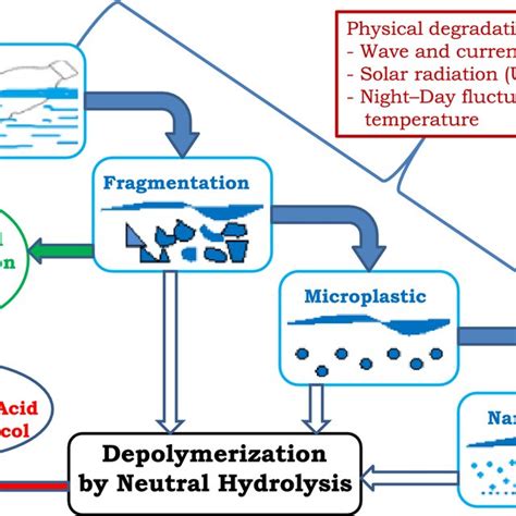 Factors Involved In Pet Waste Depolymerization In Marine Environment