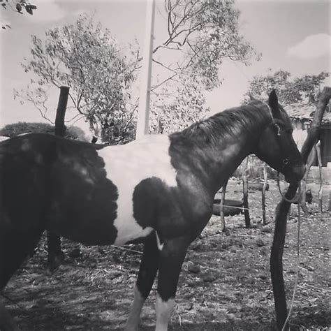 Nilson Santos Nilsonsantos457 On Threads