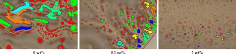 Mapping Of The Clusters Download Scientific Diagram