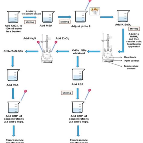 Ftir Spectra Of Msa Capped Cdse And Cdsezns Qds Without Crp Content