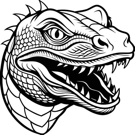 An Illustration Of A Lizard Head 54079469 Vector Art At Vecteezy