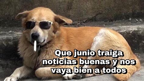 Chi Cheñol Liga De Leyendas Memes Lol