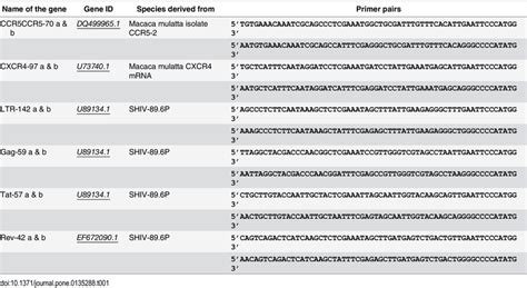 List Of Genes And Sirna Primer Sequences Download Table