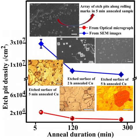 Statistical Analysis Of Etch Pit Density For Three Cu Samples Annealed Download Scientific