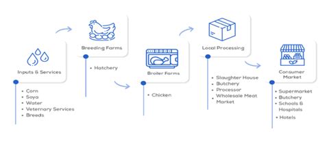 Raising The Bar Traceability As The Future Of Poultry Safety Sr