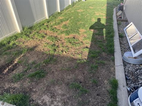 Regrow Grass Rlandscape