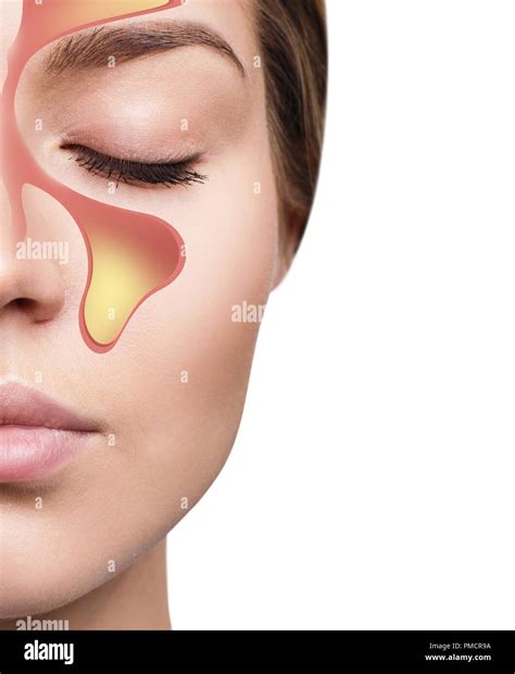 Female Face Shows Nasal Sinus With Cold Over White Background Stock